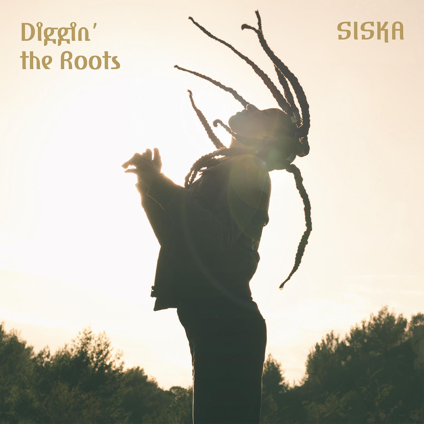 Diggin' the roots - #AuxSons